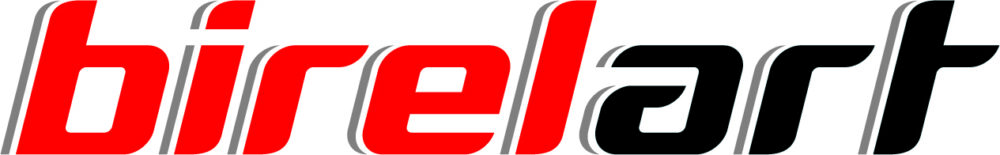 Birel ART Rental Kart