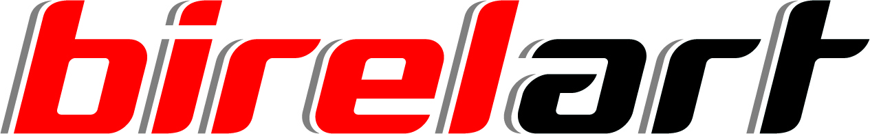 Birel ART Rental Kart